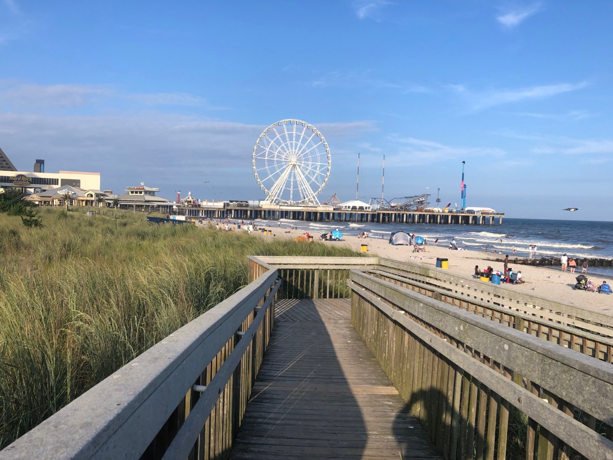 Endangered Cookie Crumbs – Pest Control Chatter